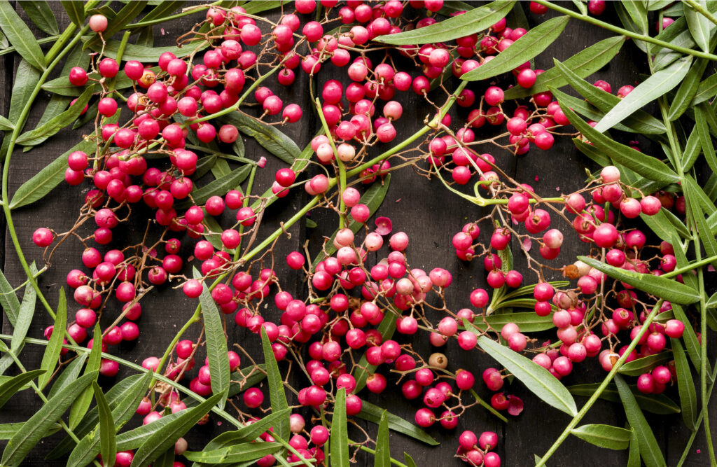 10 OUTSTANDING FLORA AND FAUNA ON THE INCA TRAIL TO MACHU PICCHU ...