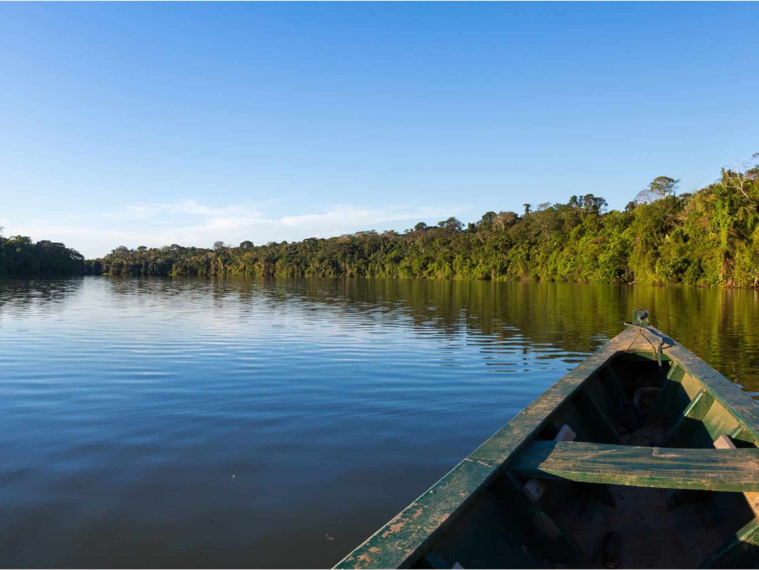 THE PERUVIAN JUNGLE: 8 IMPRESSIVE FACTS - Natourandes